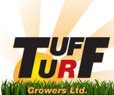 © 2023 Warman Ultimate Cheerleading. All rights reserved.