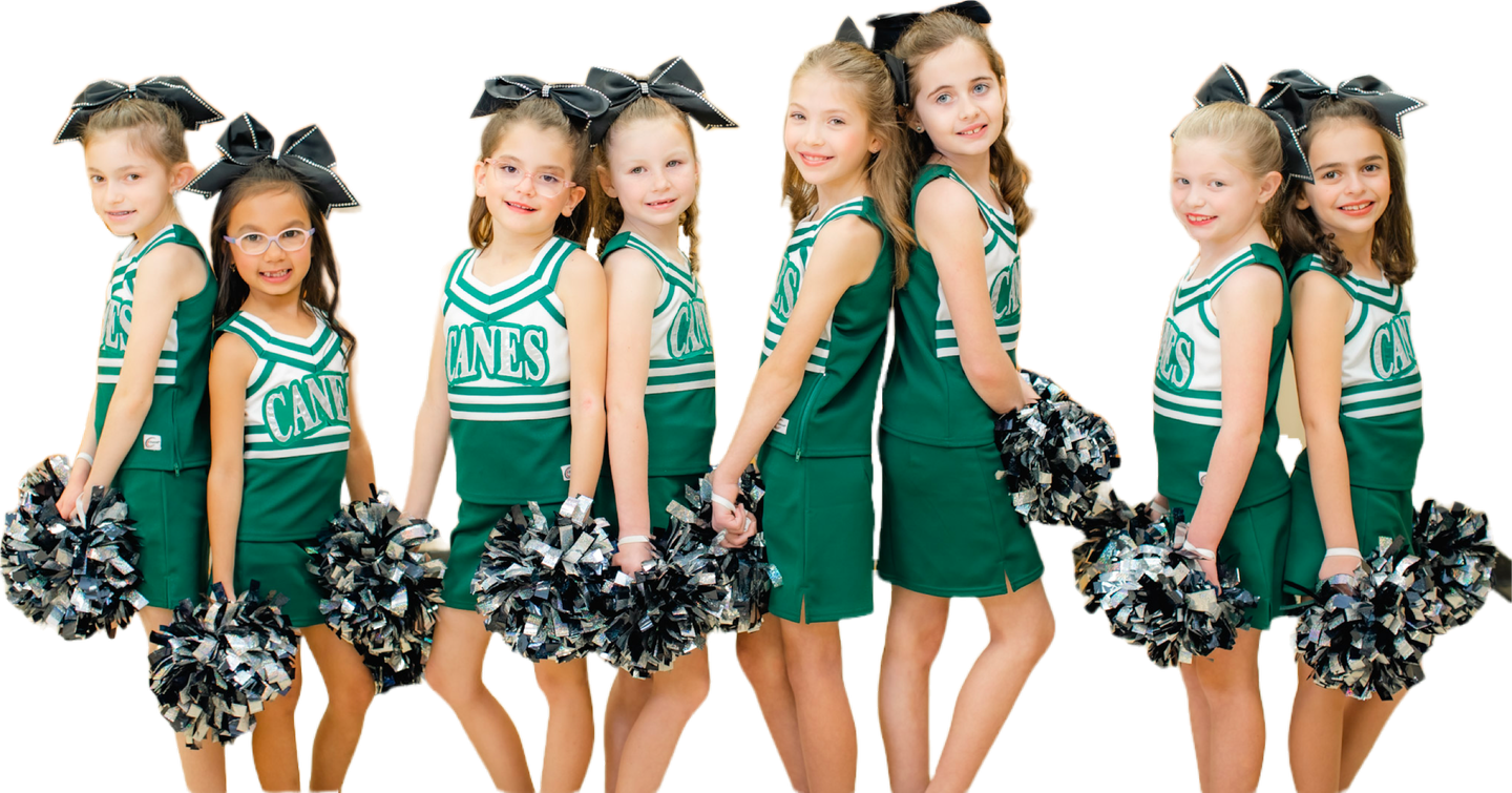 We are committed to providing our cheerleaders, coaches, parents and ...